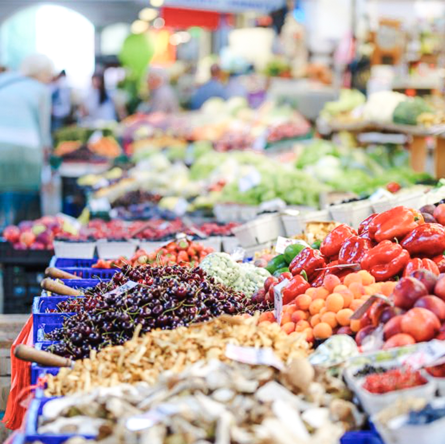 Local Activities - Le Journal du Concierge